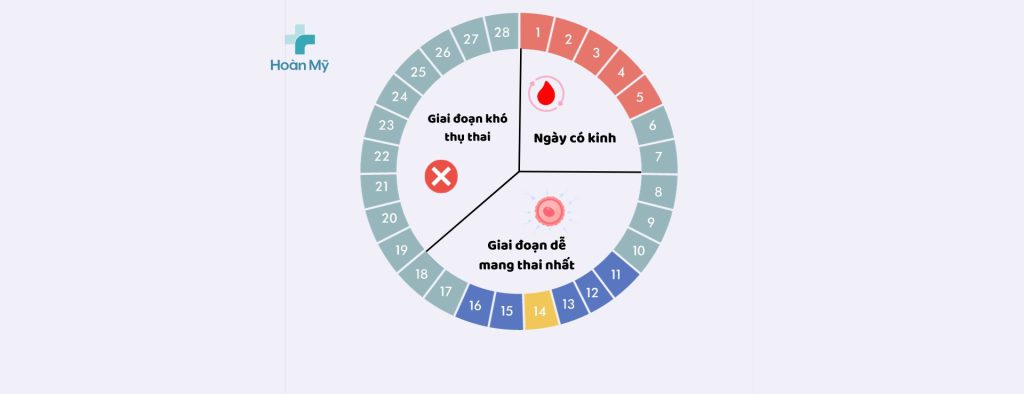 cac-giai-doan-cua-chu-ky-kinh-nguyet-banner | Hoàn Mỹ